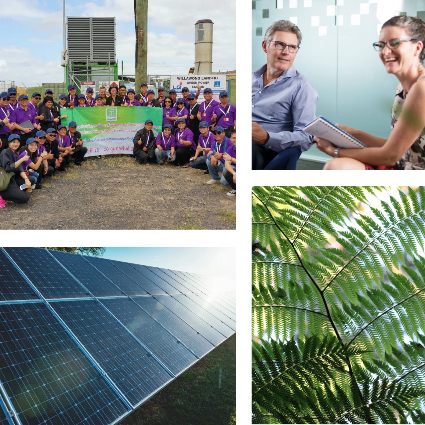 What We Do - LGI | Focus on your energy